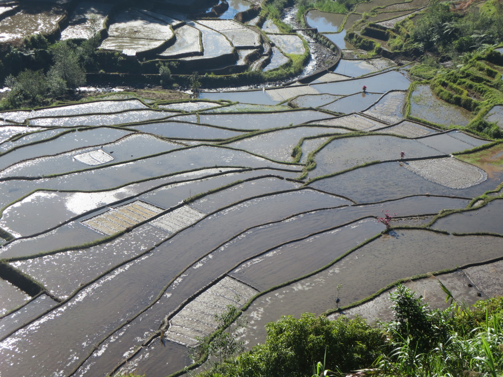 Asia 2014 | Finding Todd