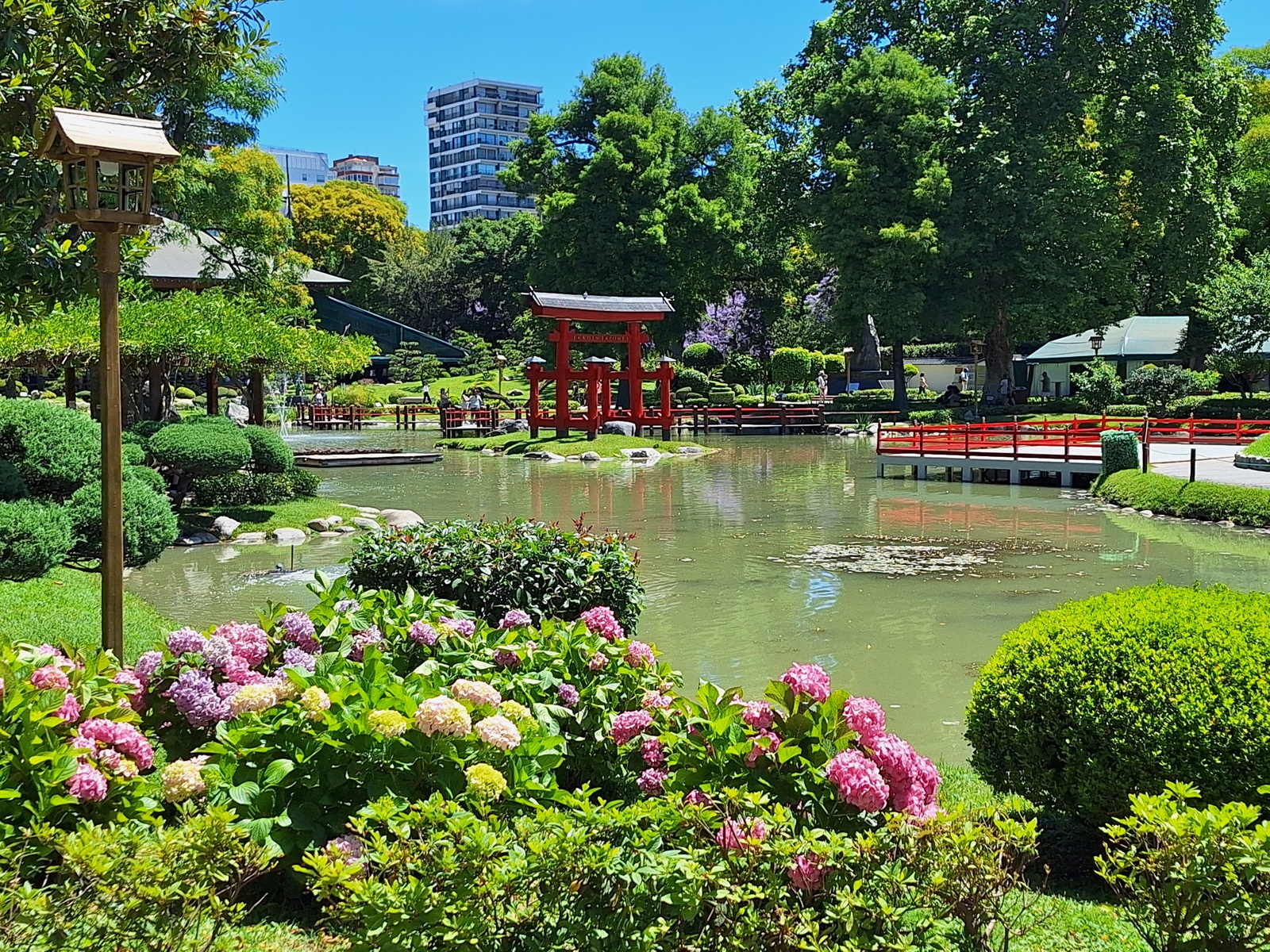 Day 22 - The Last Day (Buenos Aires) | Finding Todd